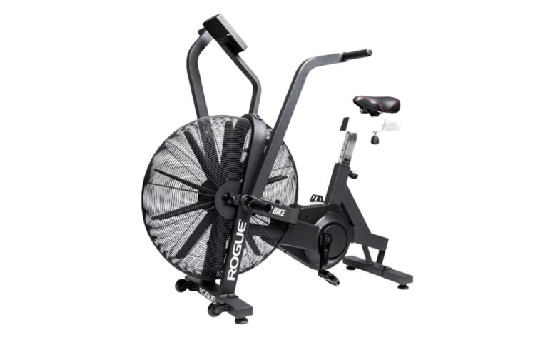 Rogue Echo Bike Review 2024: The Beefiest Air Bike We Tested